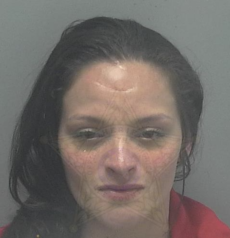 Mother arrested after her 7-month-old child found to have ingested ...